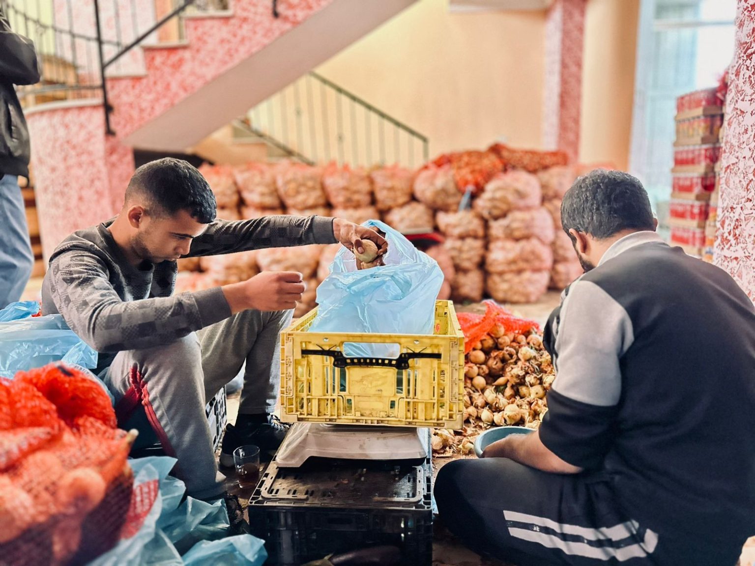 Updated Briefing Report: UAWC’s “Stop Gaza Starvation” Campaign - Union ...