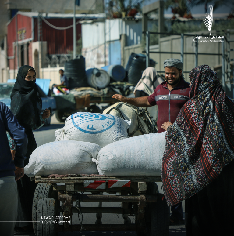 Stop Gaza Starvation - Updated Briefing Report Oct. 2024 - Union of ...